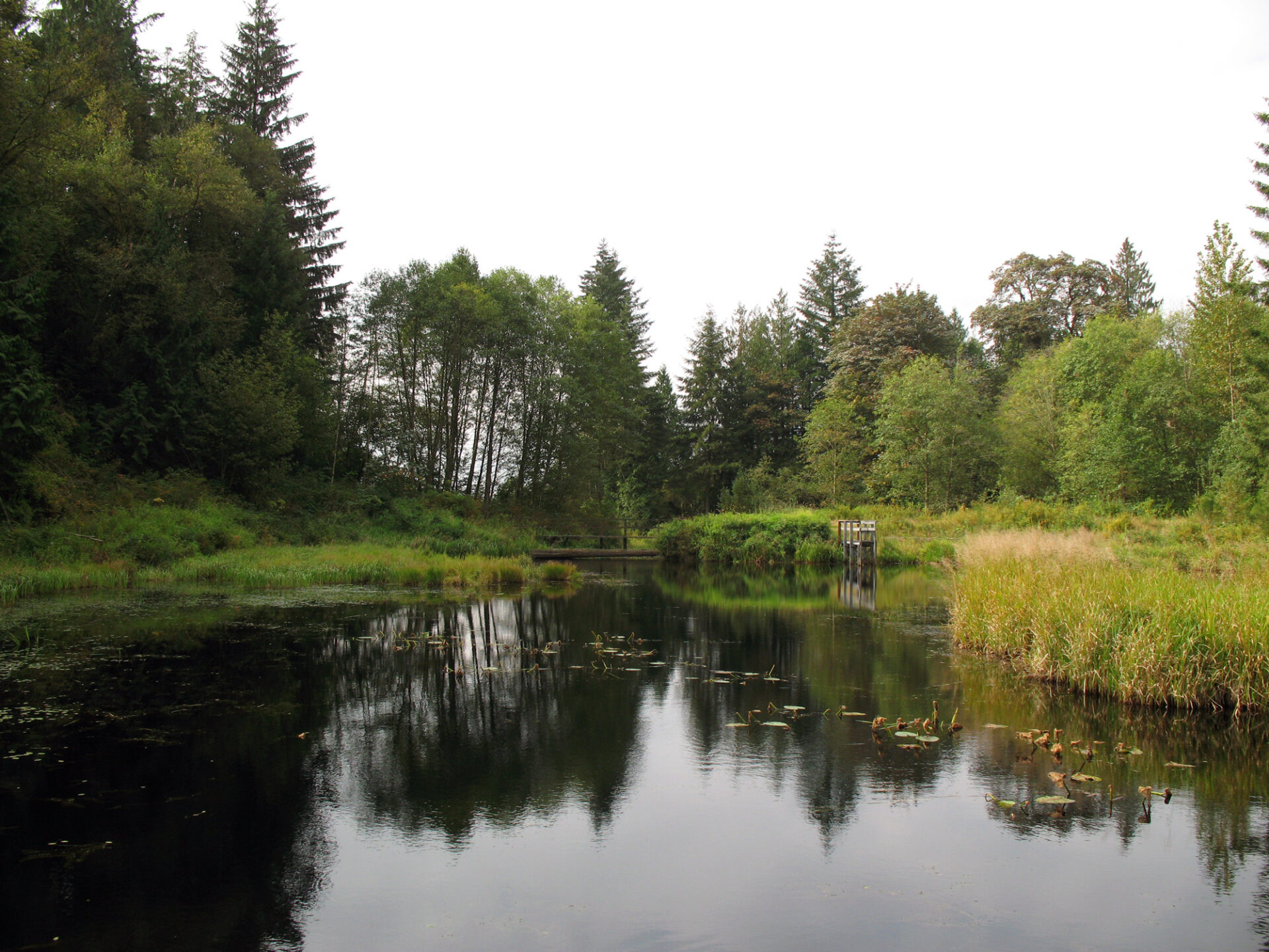 Minnekhada Regional Park - Alchetron, the free social encyclopedia