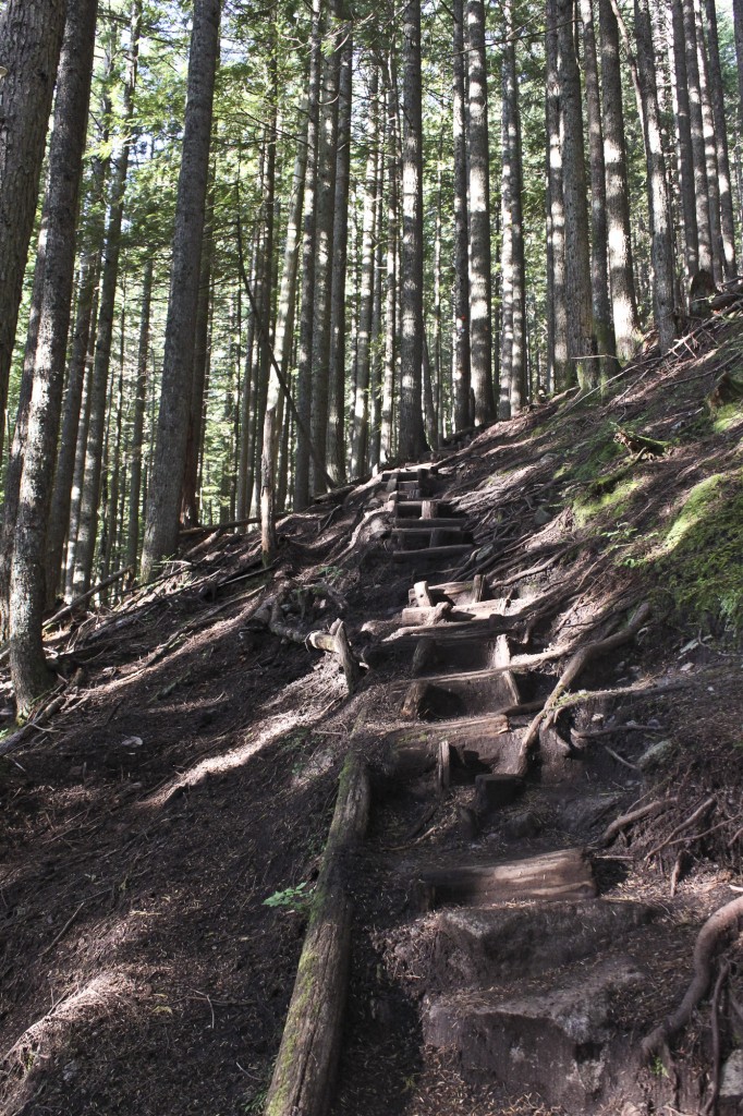 Exercise Hikes | Vancouver Trails