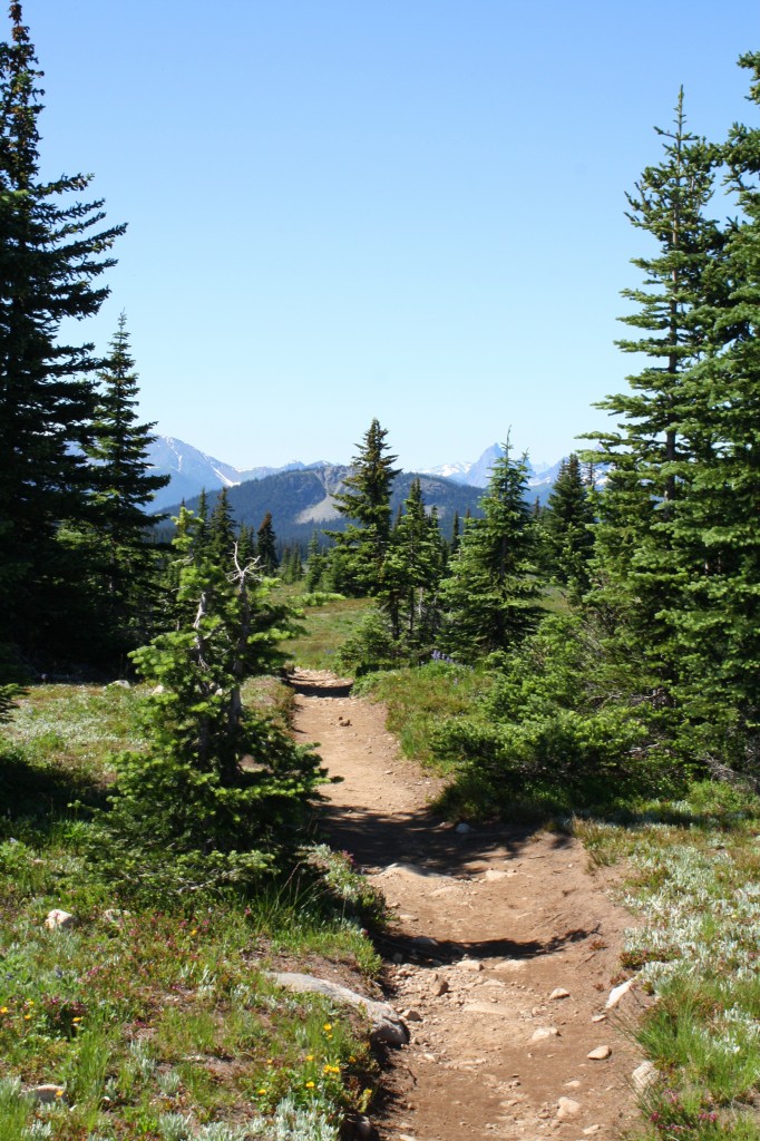 The Heather Trail in Manning Park, BC | Vancouver Trails