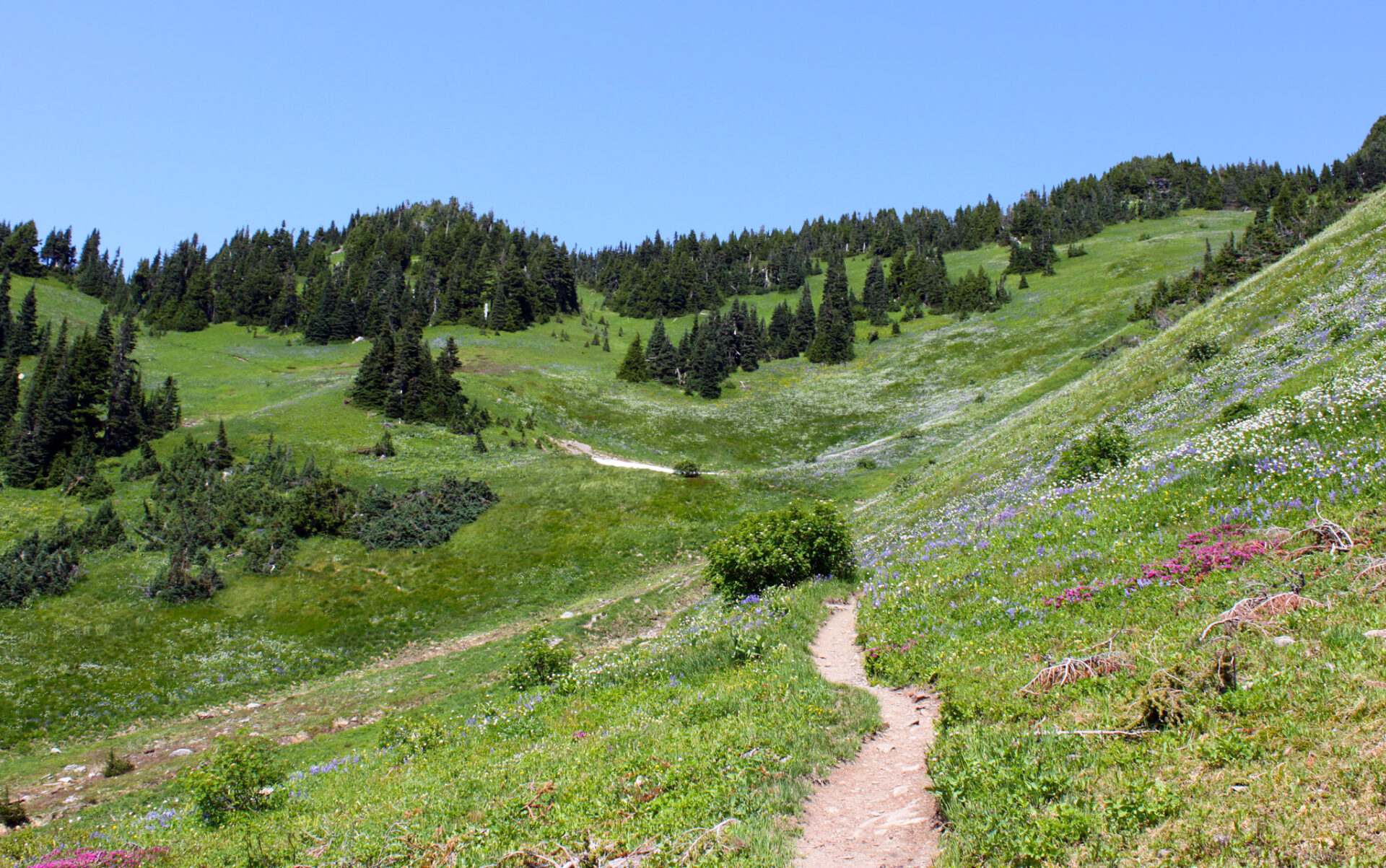 10 Best Vancouver Hikes | Vancouver Trails