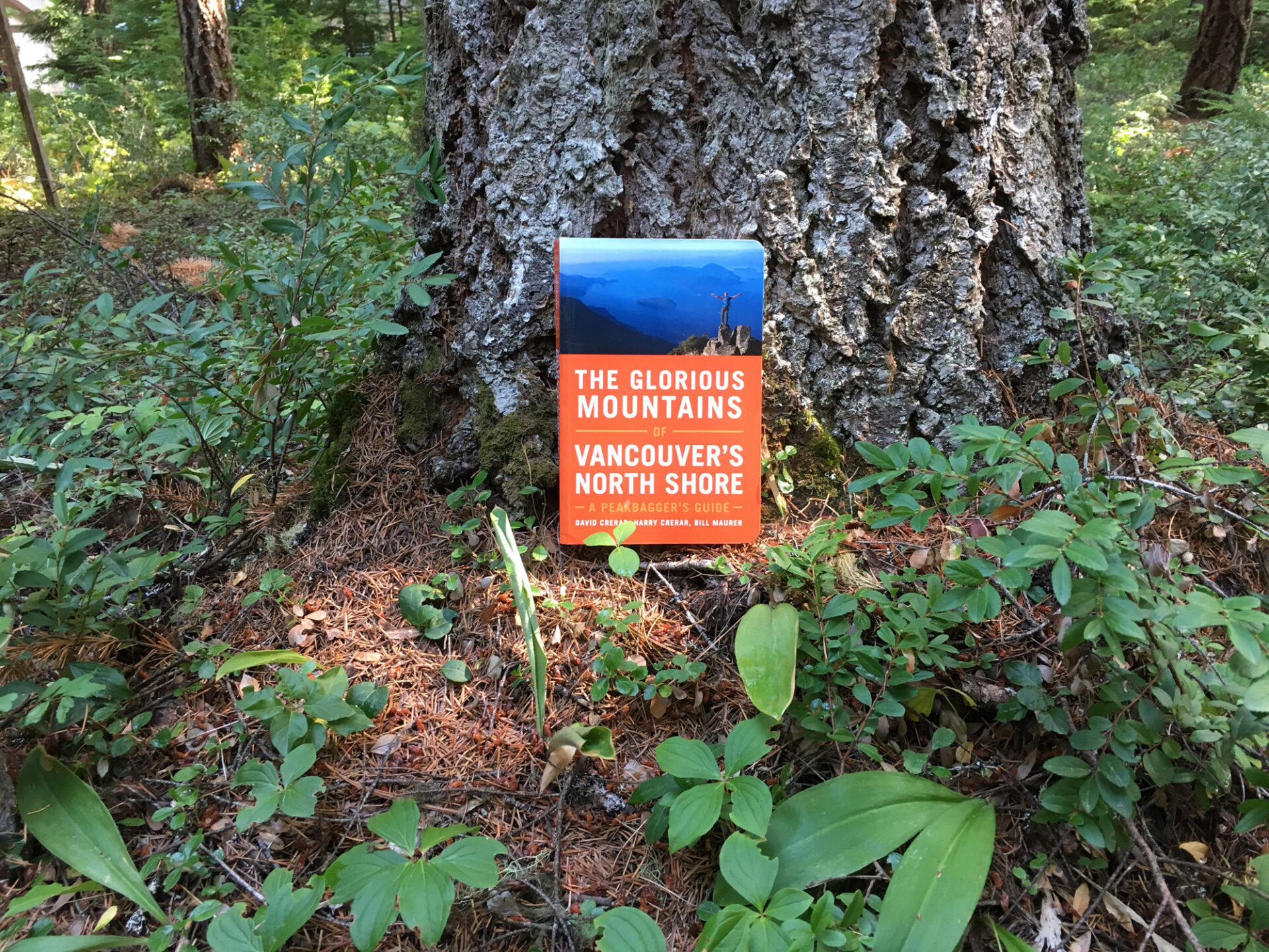 The Glorious Mountains of Vancouver’s North Shore | Vancouver Trails