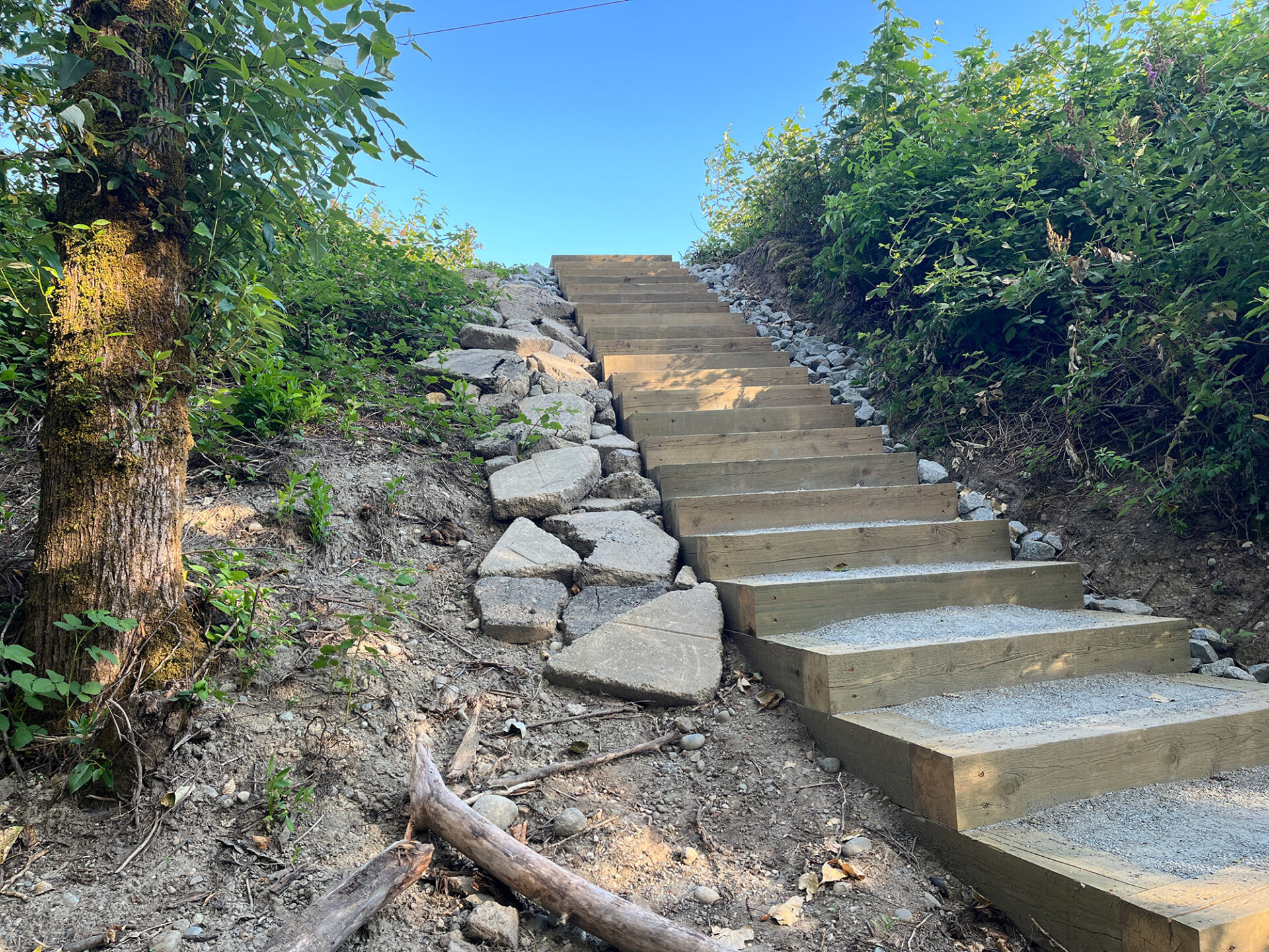 PoCo Climb Trail | Vancouver Trails