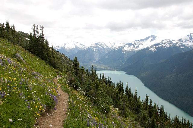 High Note Trail Photo | 2012 Hiking Photo Contest | Vancouver Trails