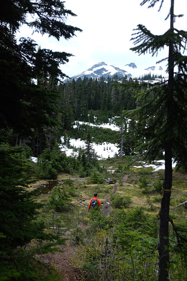 Skywalk North Loop Photo | 2020 Hiking Photo Contest | Vancouver Trails