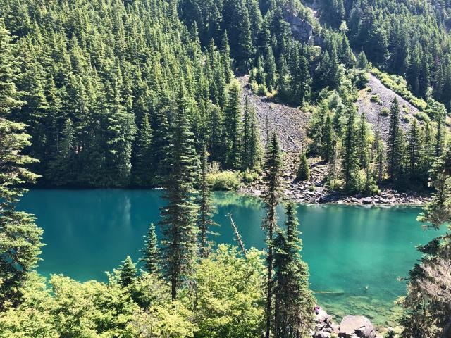 Lindeman Lake Trail Photo | 2020 Hiking Photo Contest | Vancouver Trails