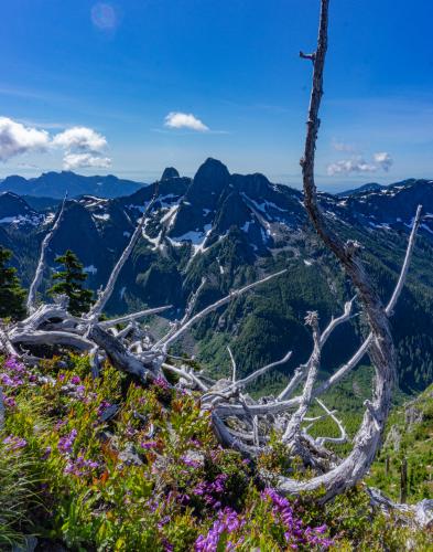 Mount Harvey Photo | 2020 Hiking Photo Contest | Vancouver Trails