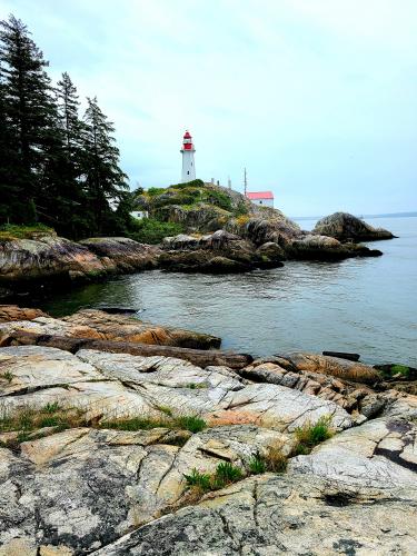 Lighthouse Park Trails Photo | 2020 Hiking Photo Contest | Vancouver Trails