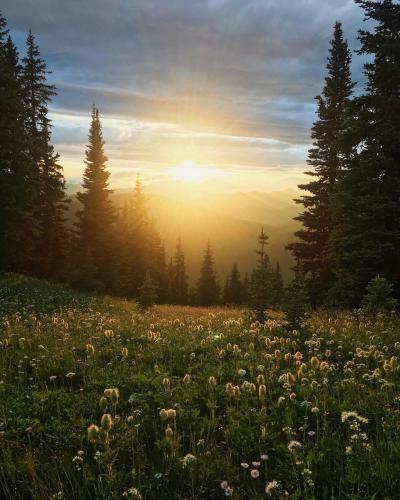 Three Brothers Mountain Via Heather Trail Photo | 2020 Hiking Photo ...