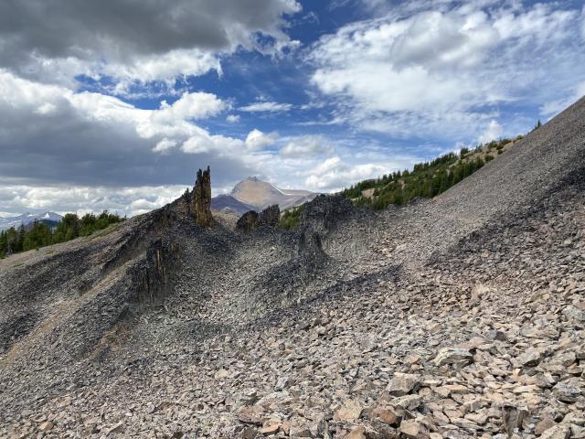 Sheba Ridge MR Photo | 2020 Hiking Photo Contest | Vancouver Trails