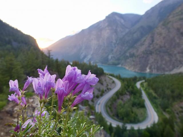 Seton Lake Lookout Photo | 2020 Hiking Photo Contest | Vancouver Trails