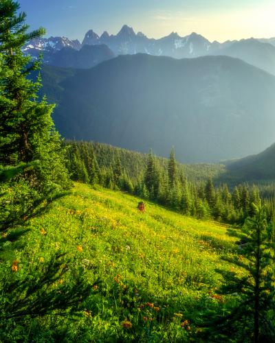 Mount Outram Photo | 2020 Hiking Photo Contest | Vancouver Trails