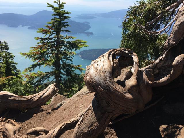 Howe Sound Crest Trail Photo | 2022 Hiking Photo Contest | Vancouver Trails