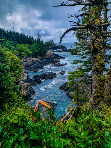 Pacific Rim Trail Photo | 2022 Hiking Photo Contest | Vancouver Trails