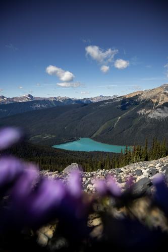 Walcott Quarry Photo | 2022 Hiking Photo Contest | Vancouver Trails