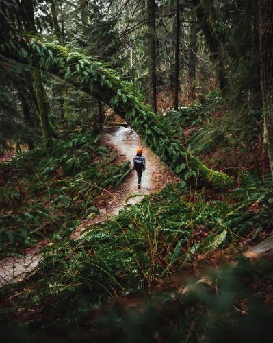 Nicole's Trail Photo | 2022 Hiking Photo Contest | Vancouver Trails