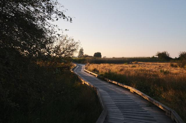 Boundary Bay Regional Park Photo | 2022 Hiking Photo Contest ...