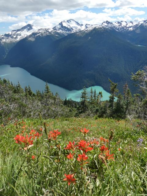 HIGH NOTE TRAIL Photo | 2022 Hiking Photo Contest | Vancouver Trails