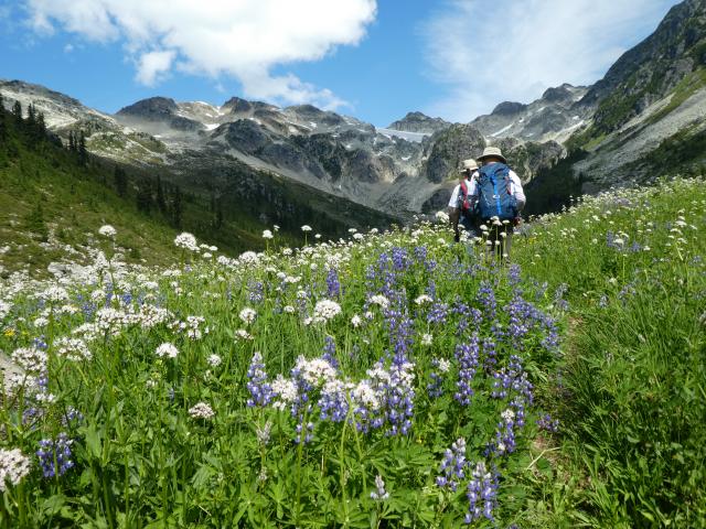 BRANDYWINE MEADOW TRAIL HEAD Photo | 2022 Hiking Photo Contest ...