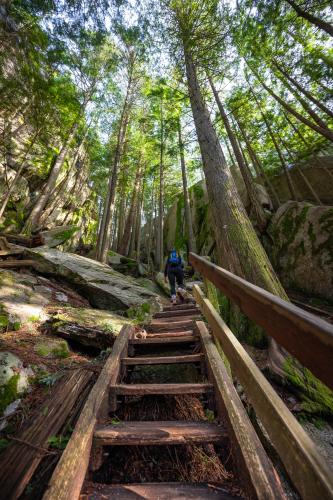 Stawamus Chief Photo | 2022 Hiking Photo Contest | Vancouver Trails