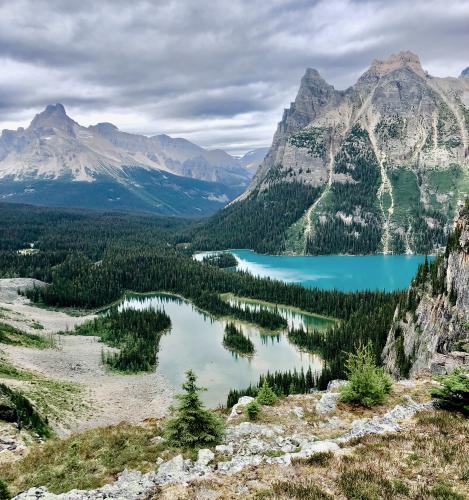 Alpine Circuit Photo | 2022 Hiking Photo Contest | Vancouver Trails