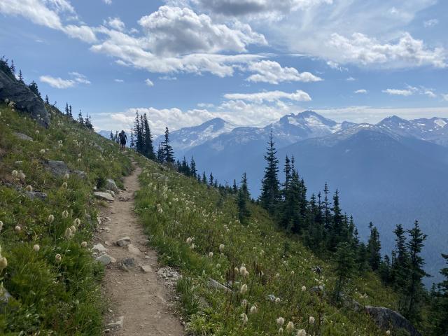 High Note Trail Photo | 2022 Hiking Photo Contest | Vancouver Trails