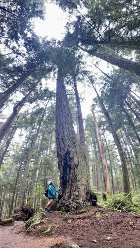Whyte Lake Photo | 2022 Hiking Photo Contest | Vancouver Trails