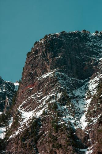 Fly's Gully Photo | 2022 Hiking Photo Contest | Vancouver Trails