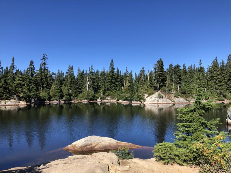 Baden Powell Photo | 2023 Hiking Photo Contest | Vancouver Trails