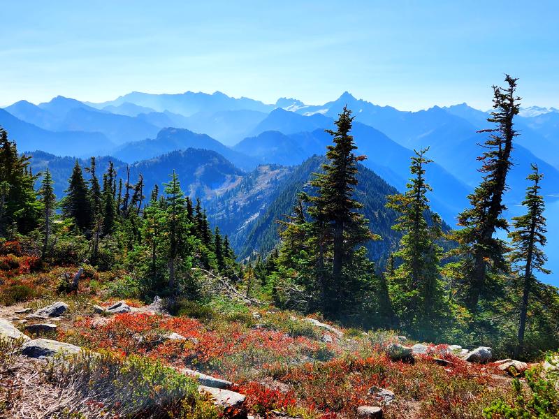 Flora Peak Photo | 2023 Hiking Photo Contest | Vancouver Trails