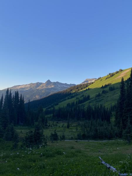 Musical Bumps Photo | Hiking Photo Contest | Vancouver Trails