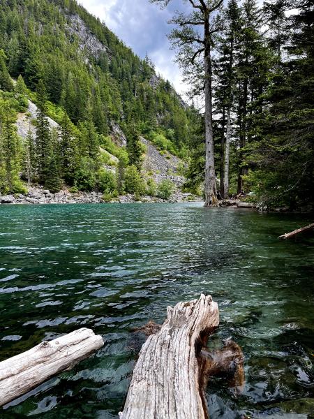 Lindeman Lake Trail Photo | 2024 Hiking Photo Contest | Vancouver Trails