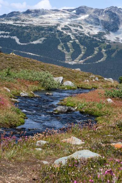 High Note Trail Photo | 2024 Hiking Photo Contest | Vancouver Trails