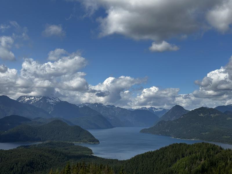 Hunter Road Trail Photo | 2025 Hiking Photo Contest | Vancouver Trails