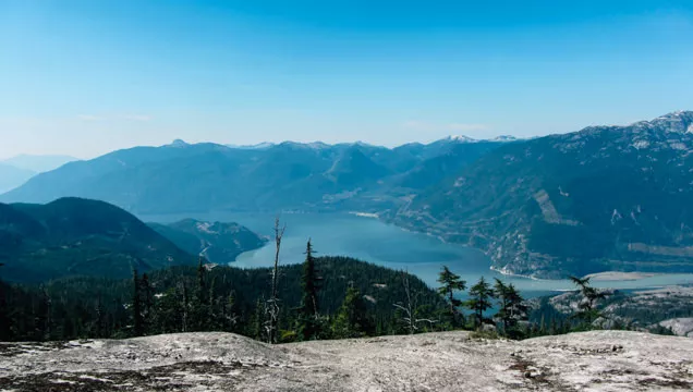 Al's Habrich Ridge Trail, Sea To Sky Gondola | Vancouver Trails