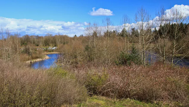 Aldergrove Regional Park | Vancouver Trails
