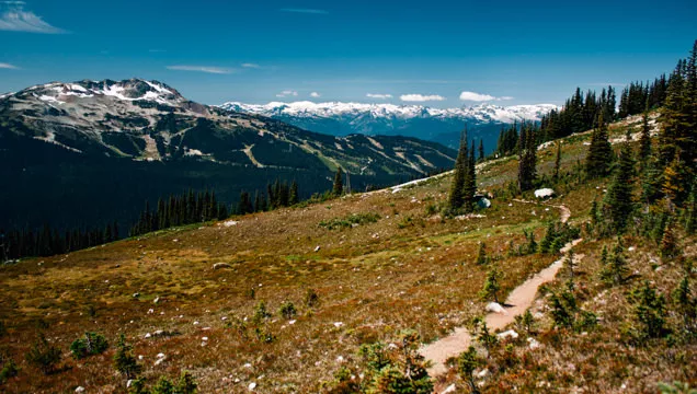 Blackcomb Meadows and Overlord Trail in Whistler | Vancouver Trails