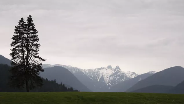 Capilano Pacific Trail, Ambleside to Cleveland Dam | Vancouver Trails