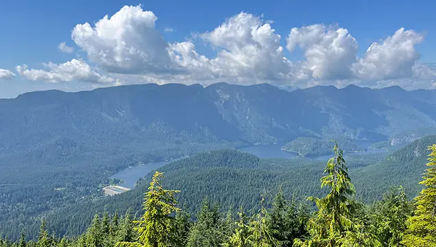 Coquitlam Lake View Trail in Pinecone Burke Park | Vancouver Trails