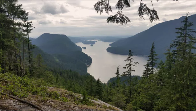 Dilly Dally Loop | Vancouver Trails