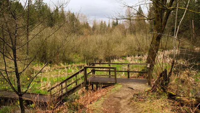 Downes Bowl Trail in Clearbrook Park | Vancouver Trails