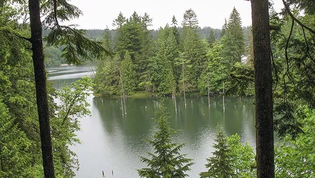Hayward Lake hiking near Mission, BC | Vancouver Trails