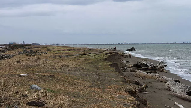 Iona Beach Regional Park, Richmond | Vancouver Trails