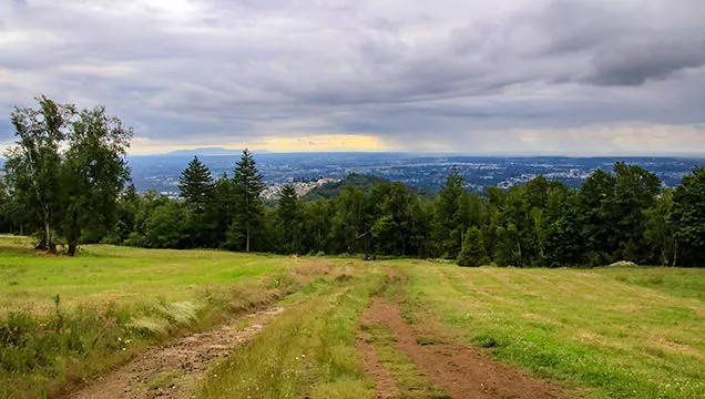 Ledgeview Trail in Abbotsford | Vancouver Trails