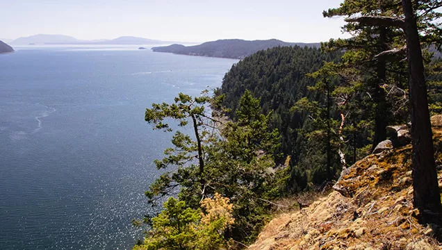 Mount Menzies Viewpoint - Pender Island | Vancouver Trails