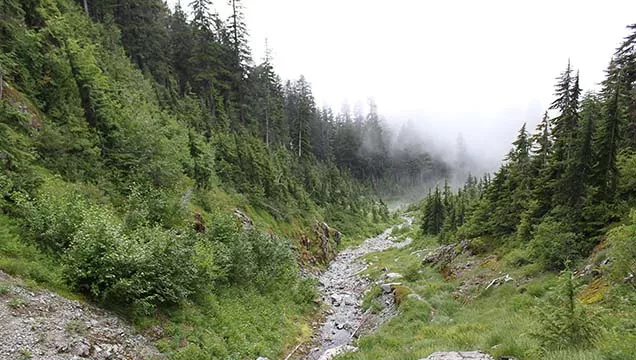 Mount Strachan Hike at Cypress Mountain Resort | Vancouver Trails