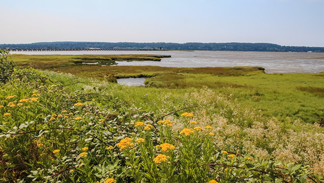 Mud Bay Park in Surrey, BC | Vancouver Trails