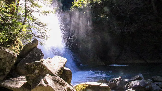 Rainbow Falls Loop in Whistler | Vancouver Trails