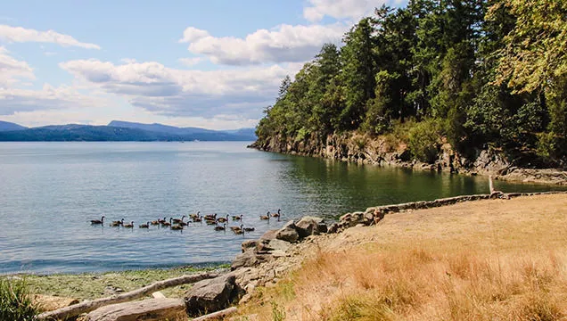 Roesland - Pender Island | Vancouver Trails