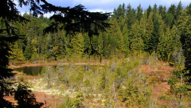 Triangle Lake on the Sunshine Coast | Vancouver Trails