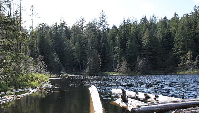 Whyte Lake in West Vancouver | Vancouver Trails
